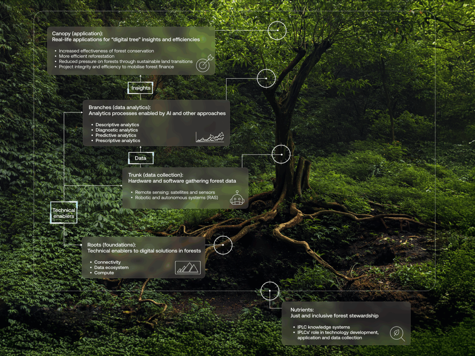 Live Canopy: Harnessing AI And Digital Innovation for Forest ...